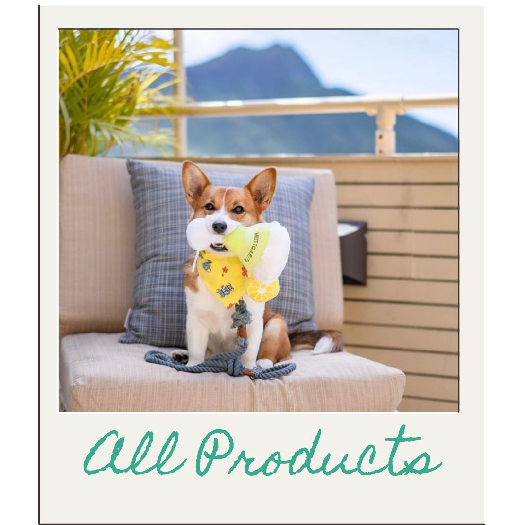 All Products – Haute Diggity Dog