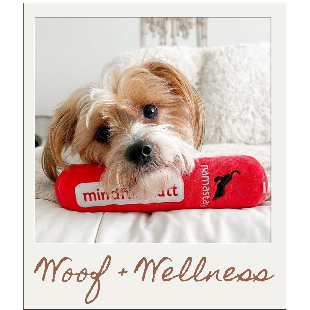 Dog Wellness Toys & Snuggly Pet Accessories – Haute Diggity Dog