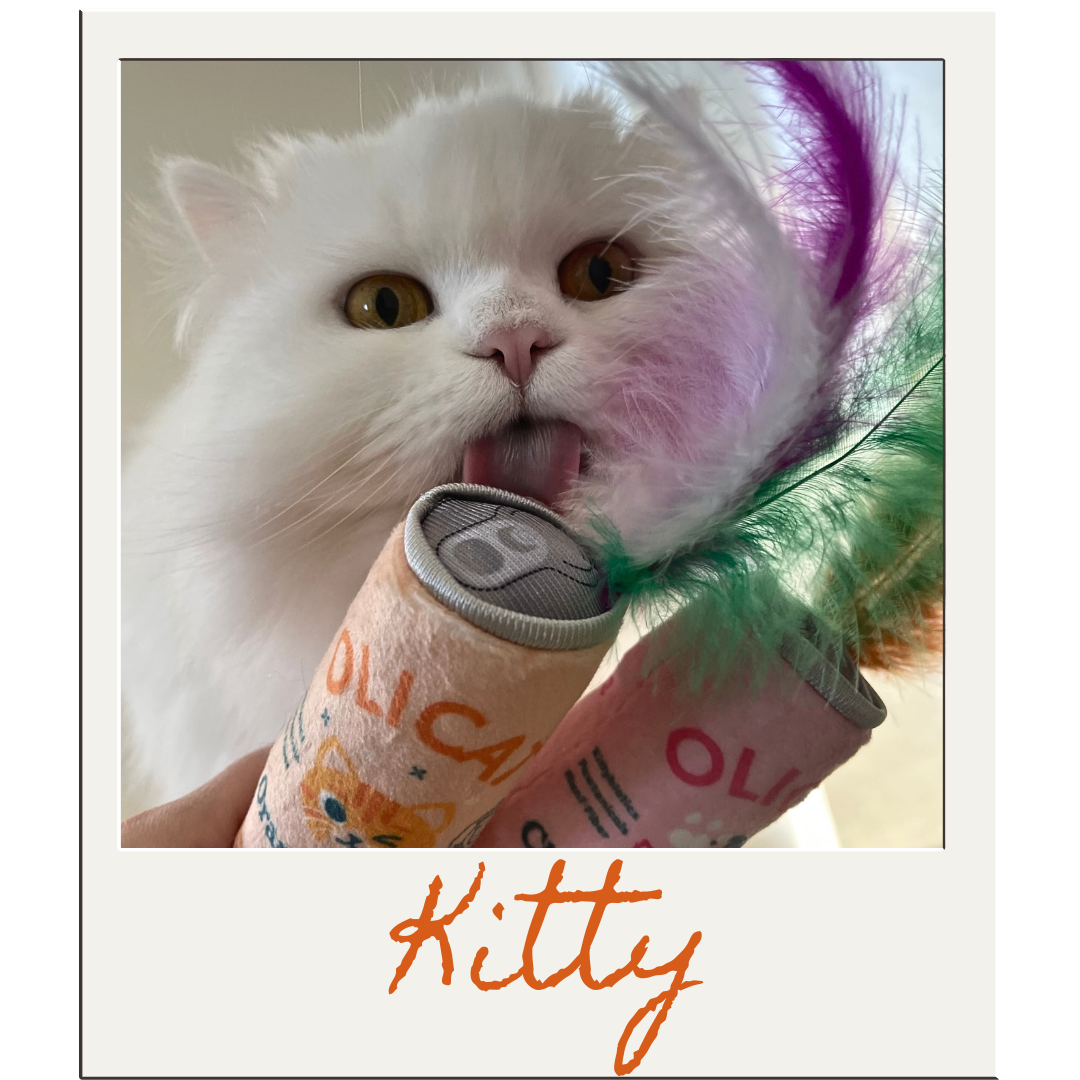 Cat Toys by Haute Diggity Kitty – Haute Diggity Dog